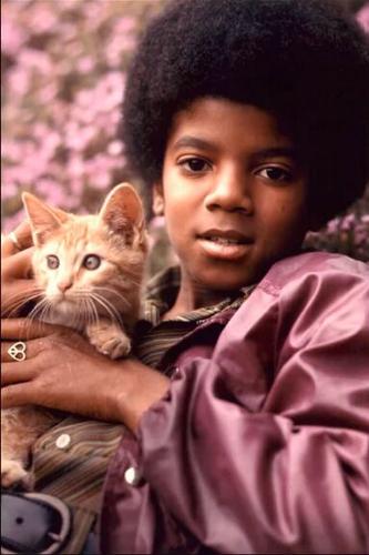 michael jackson 1971