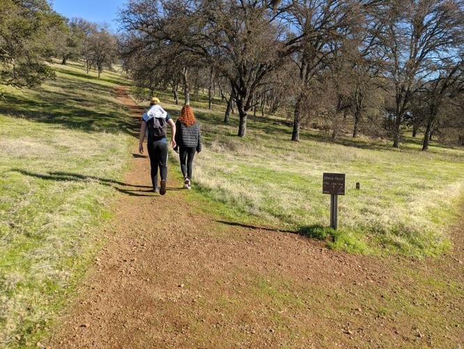 Day hiker: Beale Falls Trail – A Yuba County gem | Lifestyles ...