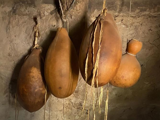 A new photo exhibit, “Travels in Tanzania - a Photo Safari” to open ...