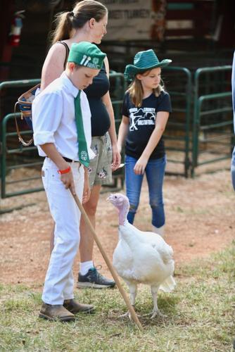Local 4-H clubs begin See’s Candy fundraiser on Idaho-Maryland Mine ...