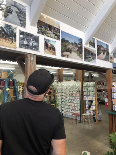 'A happy place': Weiss Brothers Nursery celebrates 50 years | News ...