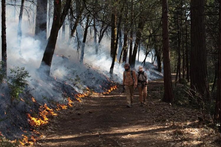 American Rivers, Terra Fuego, and Yuba Watershed Institute to host ...