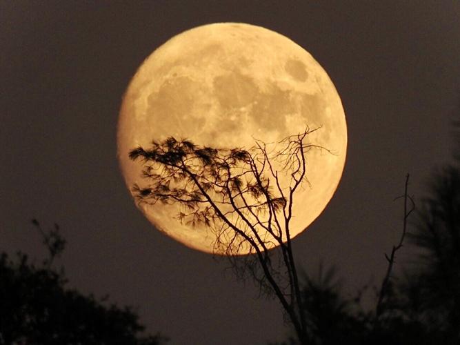 Nevada County Captures: Summer nights in Nevada City | Multimedia ...