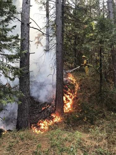 Suspect arrested after Grass Valley fire linked to homeless camp | Fire ...