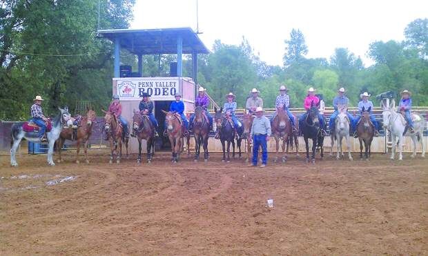 Mule, donkey show set for this weekend | News | theunion.com