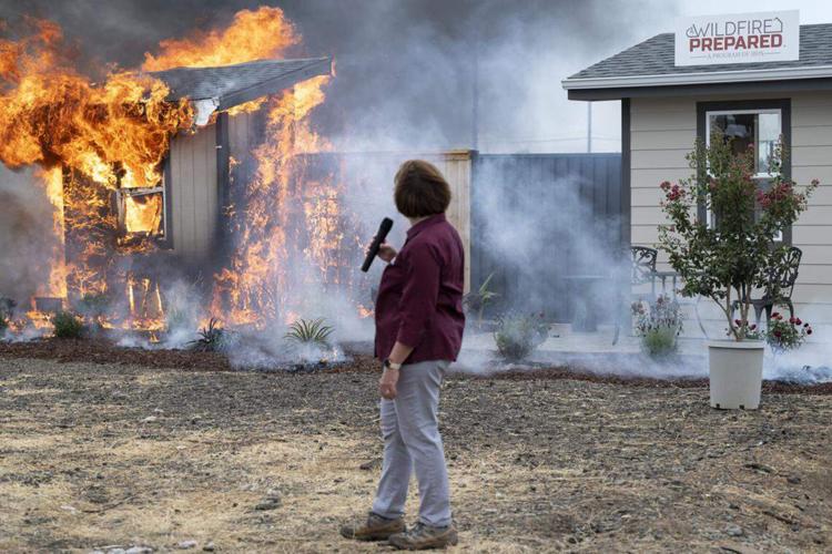 Marc Cuniberti: The skinny update on fire insurance | News | theunion.com