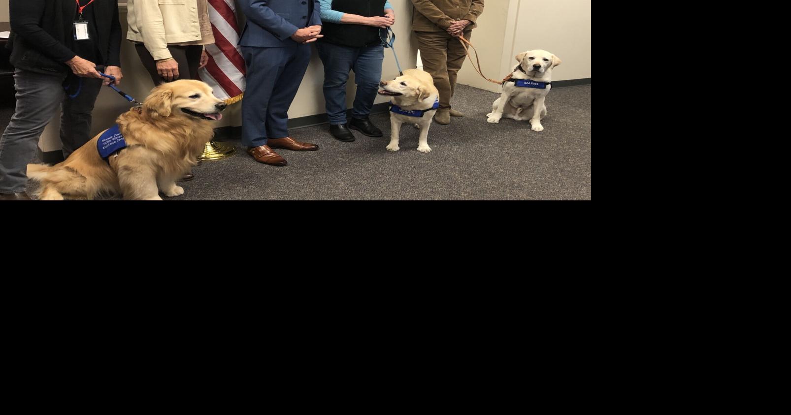 Giving credit where credit is due: National Therapy Animal Day honors ...