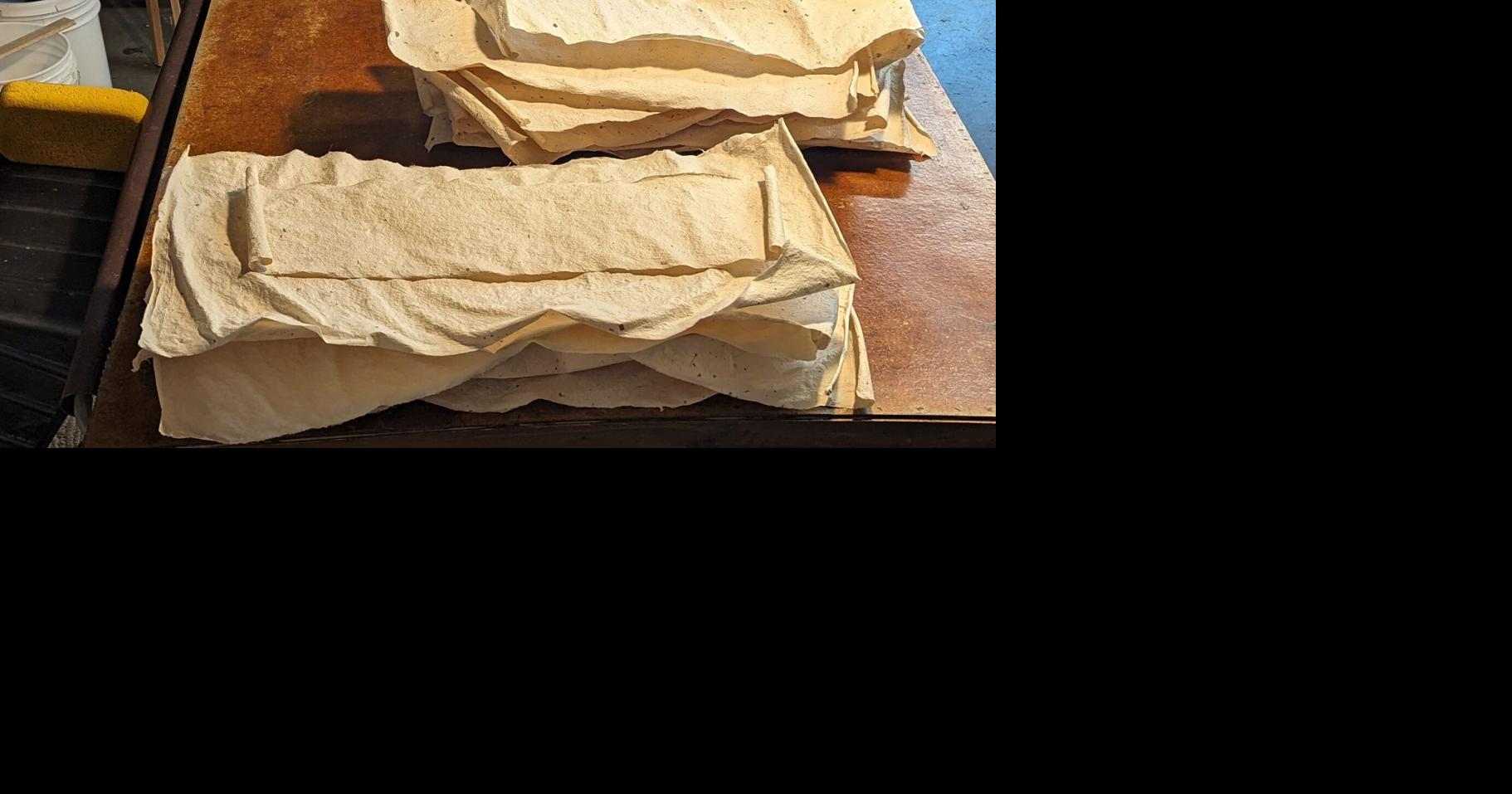 Learn papermaking at ASiF Studios on March 22: Sheet forming with plant ...