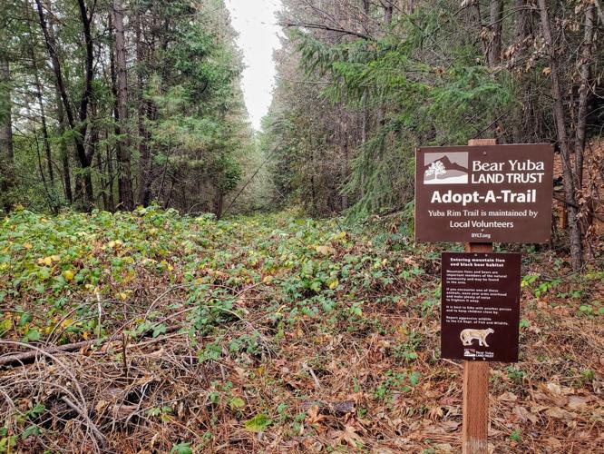 Day hiker: Yuba Rim Trail - Discover the beauty of Rice's Crossing ...