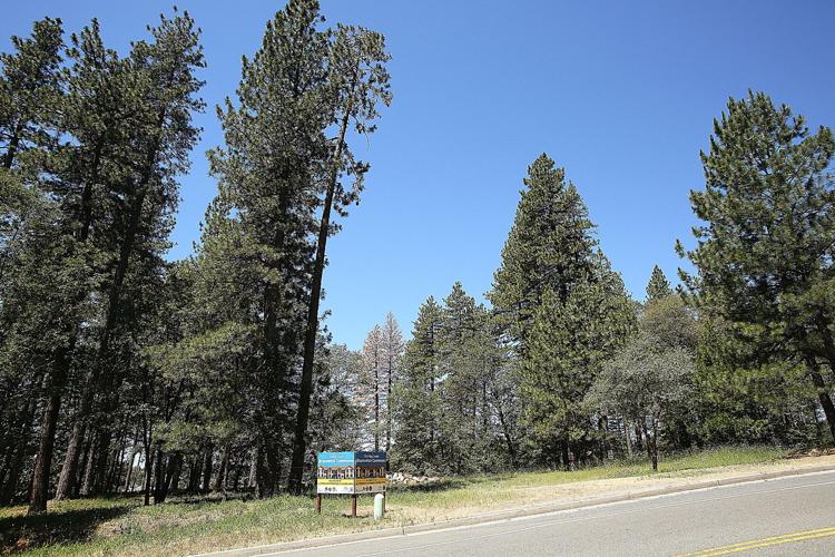 Brunswick Commons housing for homeless to open next year in Grass ...