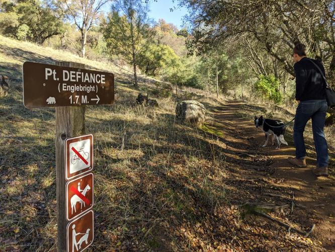 Day hiker: Point Defiance Loop Trail – An undiscovered gem in Penn ...