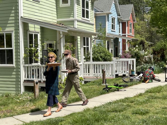Cohousing, a concept of shared resources and purposeful interaction ...