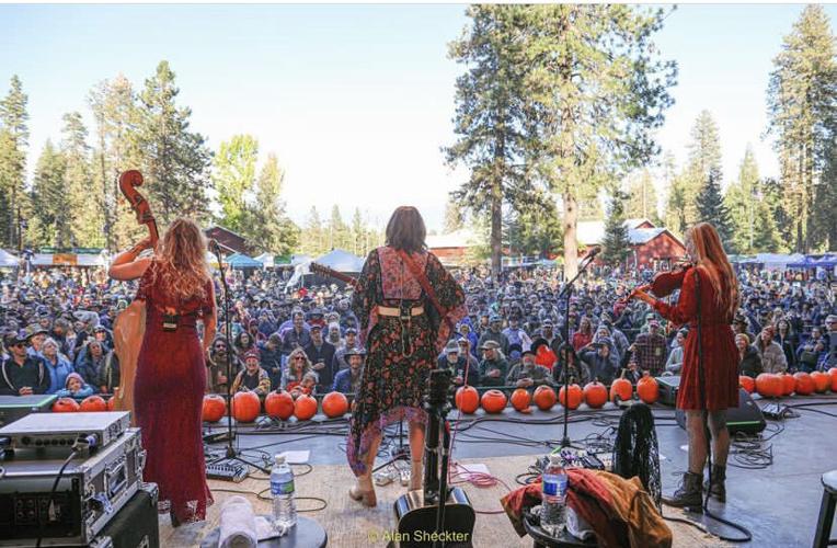 Sugar Pine Music Festival premieres in Nevada County | Entertainment | theunion.com