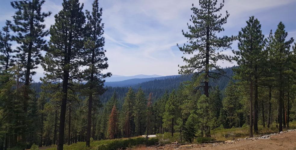 Day hiker: Brockway Summit Trail – A journey along the Tahoe Rim Trail ...
