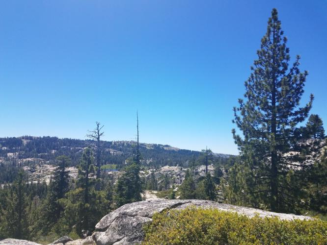 Day hiker: Summit Lake Trail – A summer escape with alpine views ...