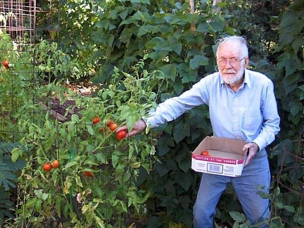 Lawyer remembered as ‘hidden gem’ | News | theunion.com