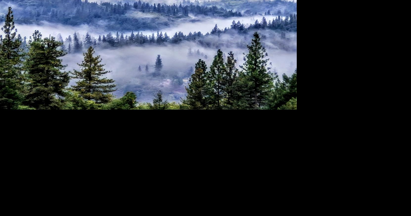 Nevada County Captures: After the rain | Multimedia | theunion.com