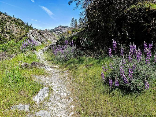 Mary West: Hike the Windy Point Trail | Outdoors | theunion.com