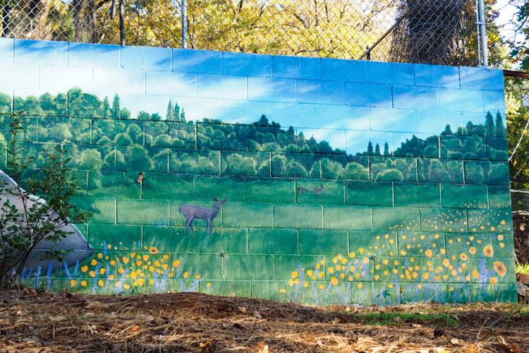 Nevada County Captures: Mural painted by my grandson Mikey Levitan and ...