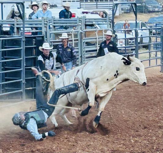 Kickin' up dirt at the rodeo | News | theunion.com
