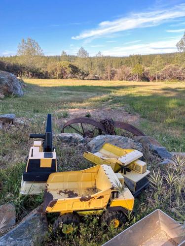 A fighting chance: Shaded fuel break helps in fight against wildfire in ...