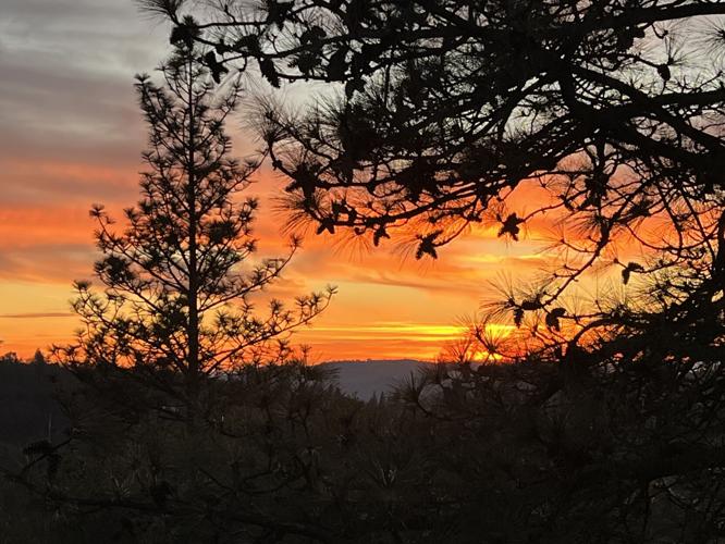 Nevada County Captures: Sunset through the pines | Multimedia ...