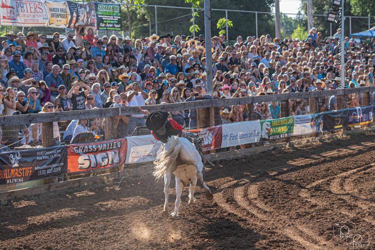 Community Resiliency Grants prove to be a success four years after ...