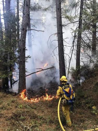 Suspect arrested after Grass Valley fire linked to homeless camp | Fire ...