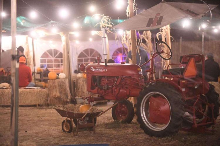 Meet Your Merchant: Too gourd to be true — Grass Valley’s The Haunted ...