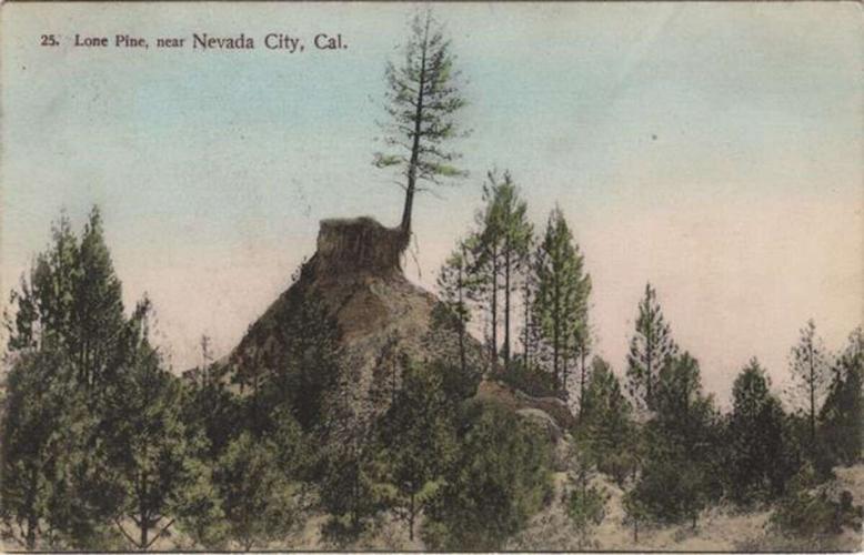 Echoes from our past — The Lone Pine: A Nevada County landmark | News ...
