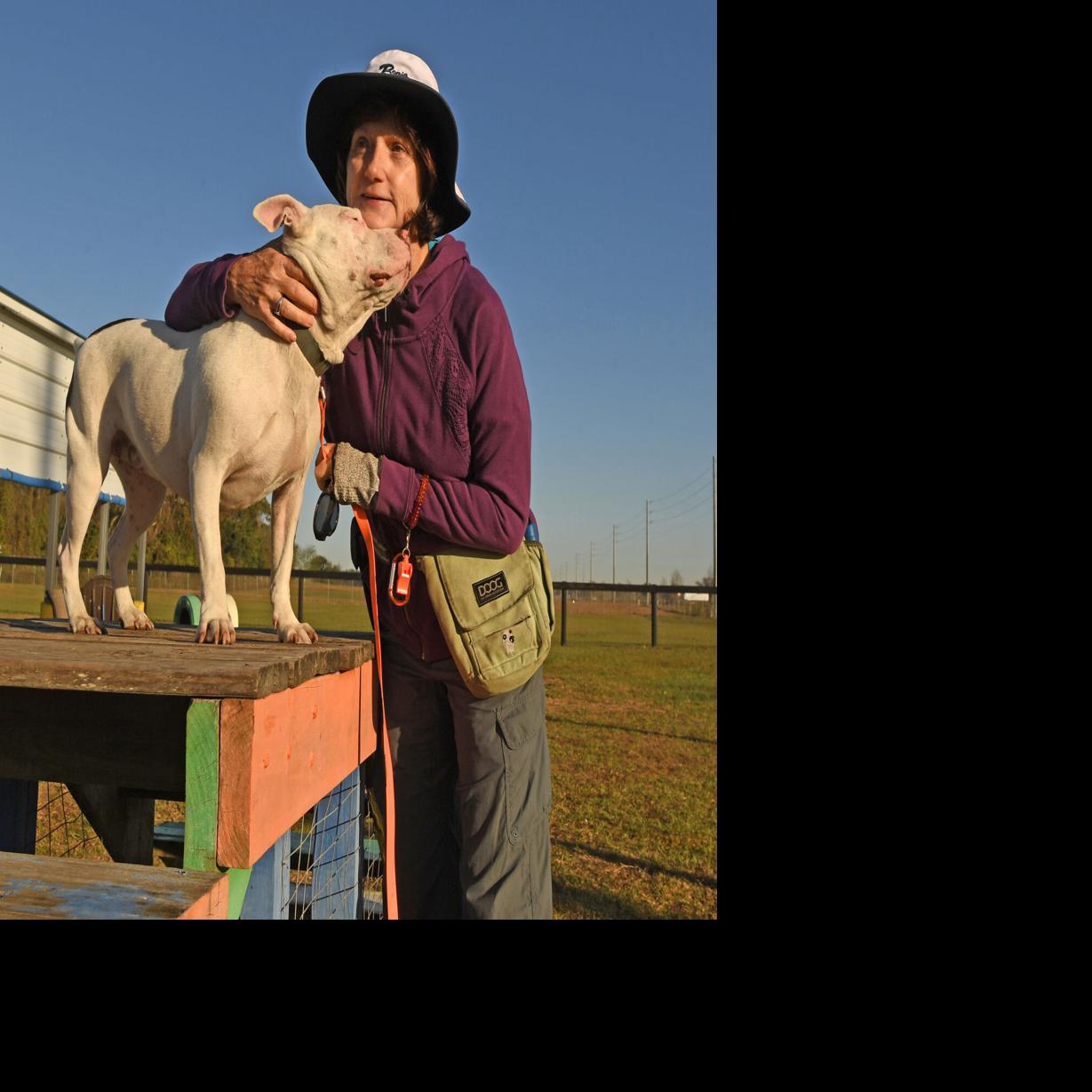 In Today's Daily Sun | The Villages Daily Sun | thevillagesdailysun.com