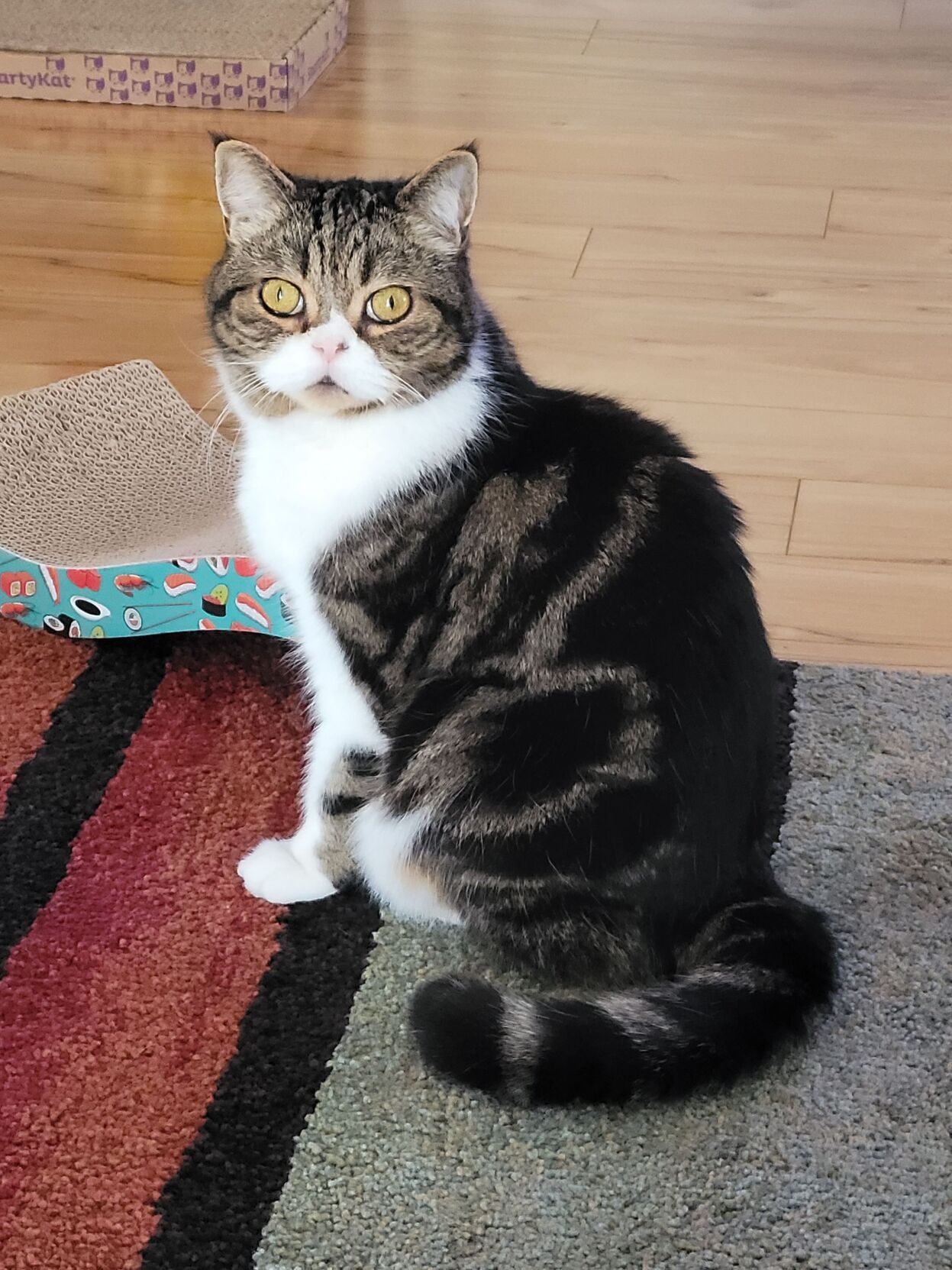 Charley | Winners | thevillagesdailysun.com