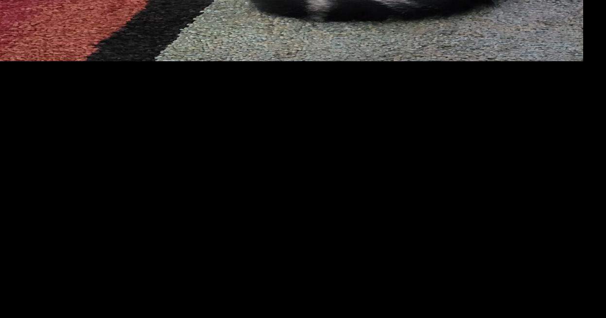 Charley | Winners | thevillagesdailysun.com