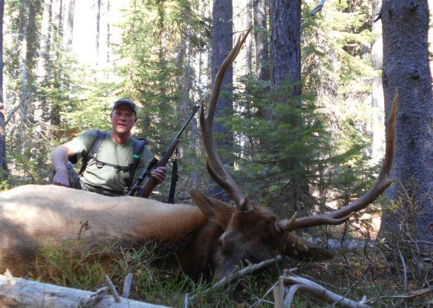 Southwest Oregon archery elk hunters asked to provide input on 2022 ...