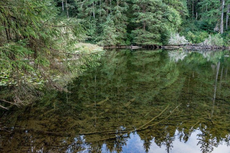 Hike Eel Lake with South Coast Striders on June 8 | Entertainment ...