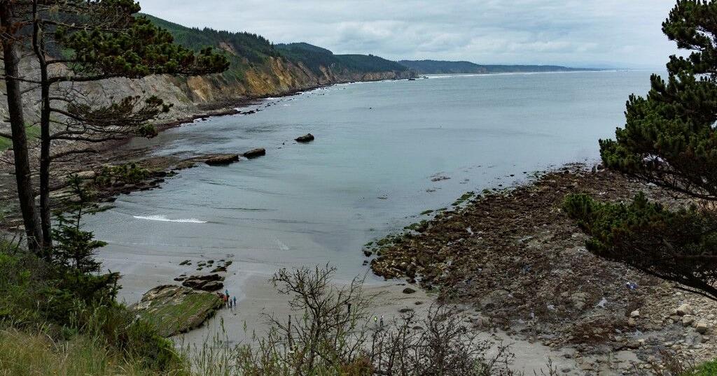 Sunset Bay Trail Run is Saturday | Sports | theworldlink.com