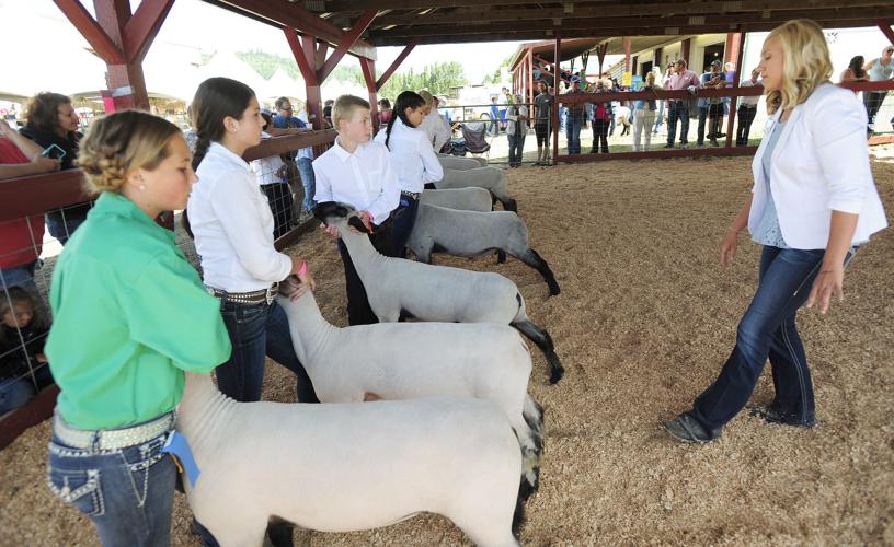 Wednesday at the Coos County Fair | Photo Collections | theworldlink.com