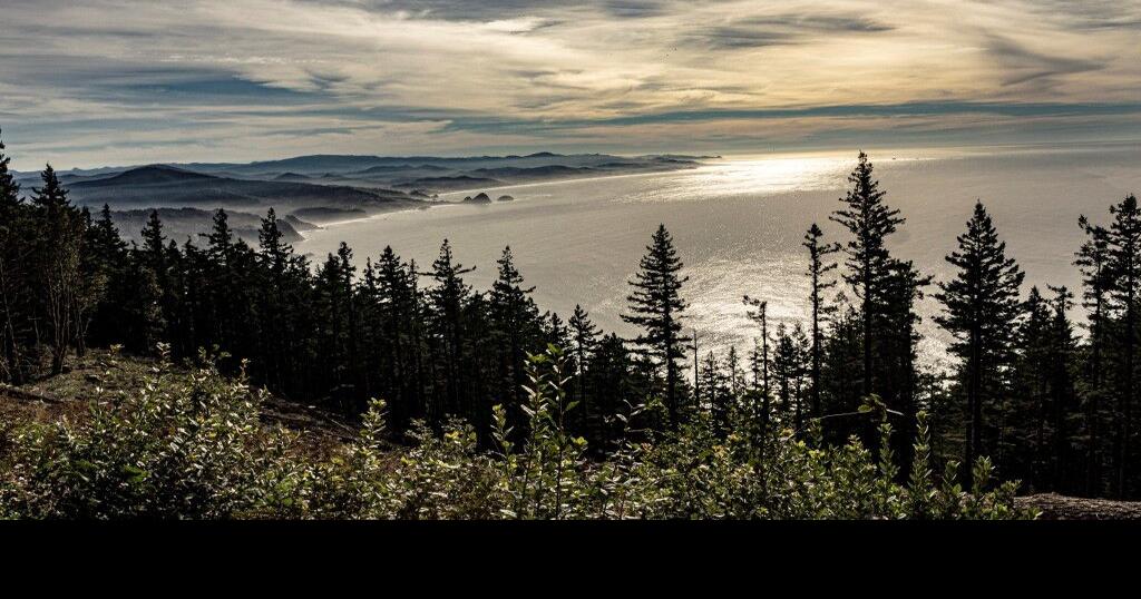 Hike Humbug Mountain with South Coast Striders | Sports | theworldlink.com