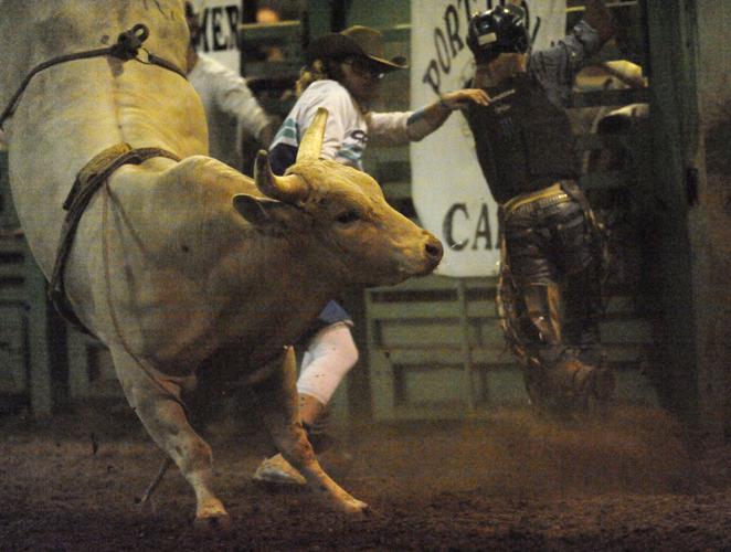Curry County Fair | Photo Collections | theworldlink.com