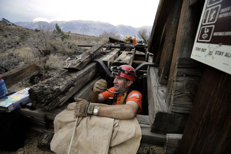 What Buster Nose | Photo Collections | theworldlink.com