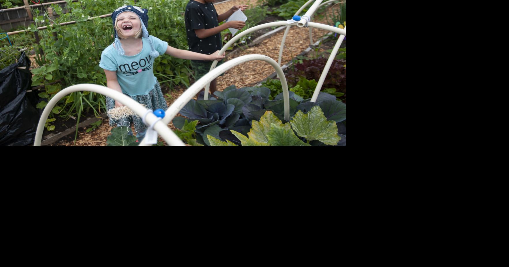 Kids release 15,000 ladybugs into Lady Bug Landing community garden ...