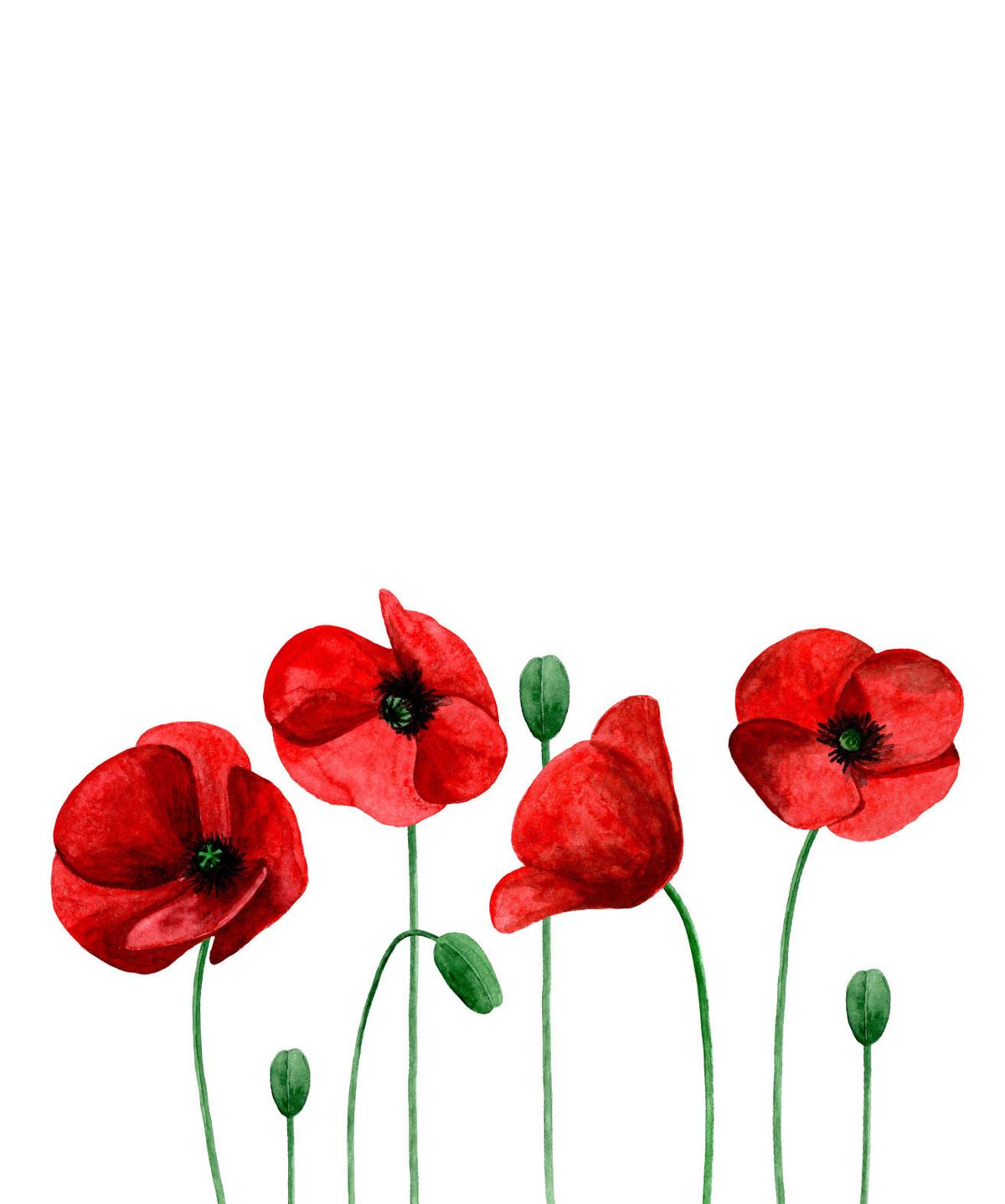 Auxiliary, VFW handing out poppies | Lifestyles | theworldlink.com