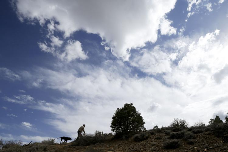 What Buster Nose | Photo Collections | theworldlink.com