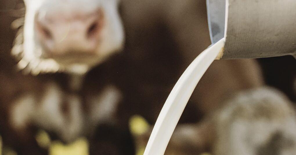 OHA Issues raw milk advisory | News | theworldlink.com
