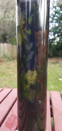 Nature Guide Journal: Winogradsky column | News | theworldlink.com