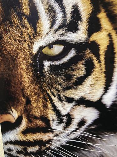AKI Gallery features new photography exhibit | Local News ...