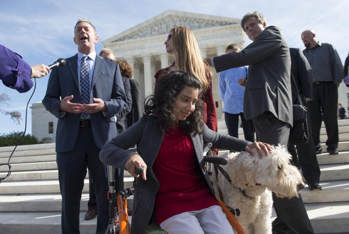 Photos: Service dogs head to the Supreme Court | National News ...