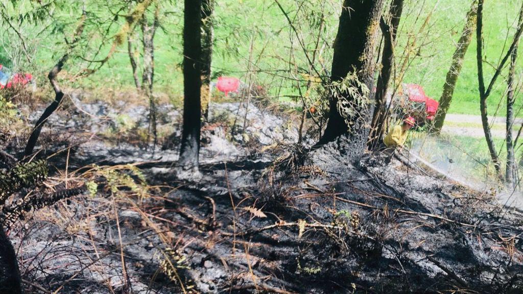 Escaped debris burn causes fire near Reedsport | News | theworldlink.com