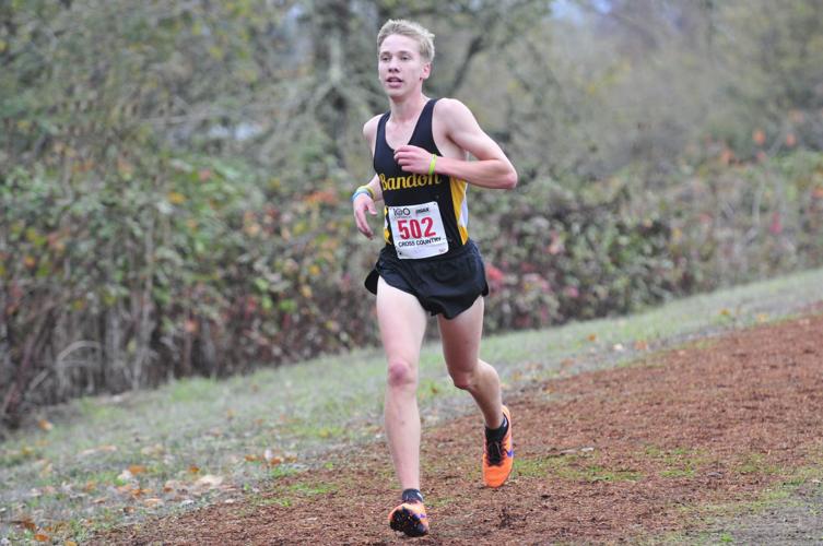 Marshfield's Chavez finishes sixth at state cross country meet | Local ...