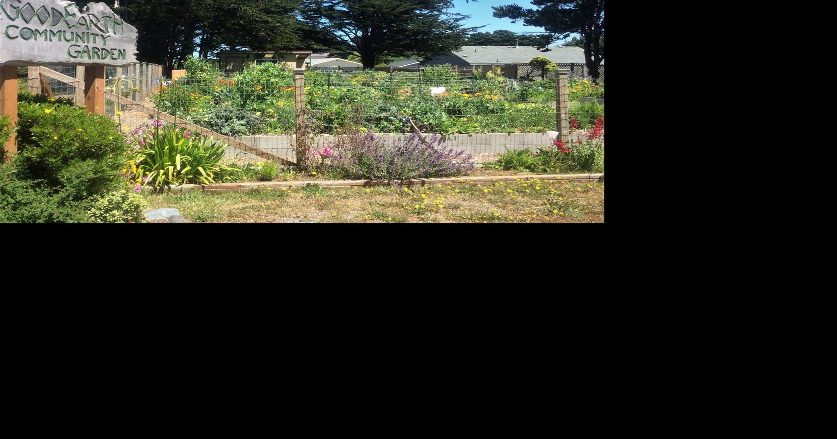 Good Earth Community Garden plant sale coming May 5, 6 | Entertainment ...